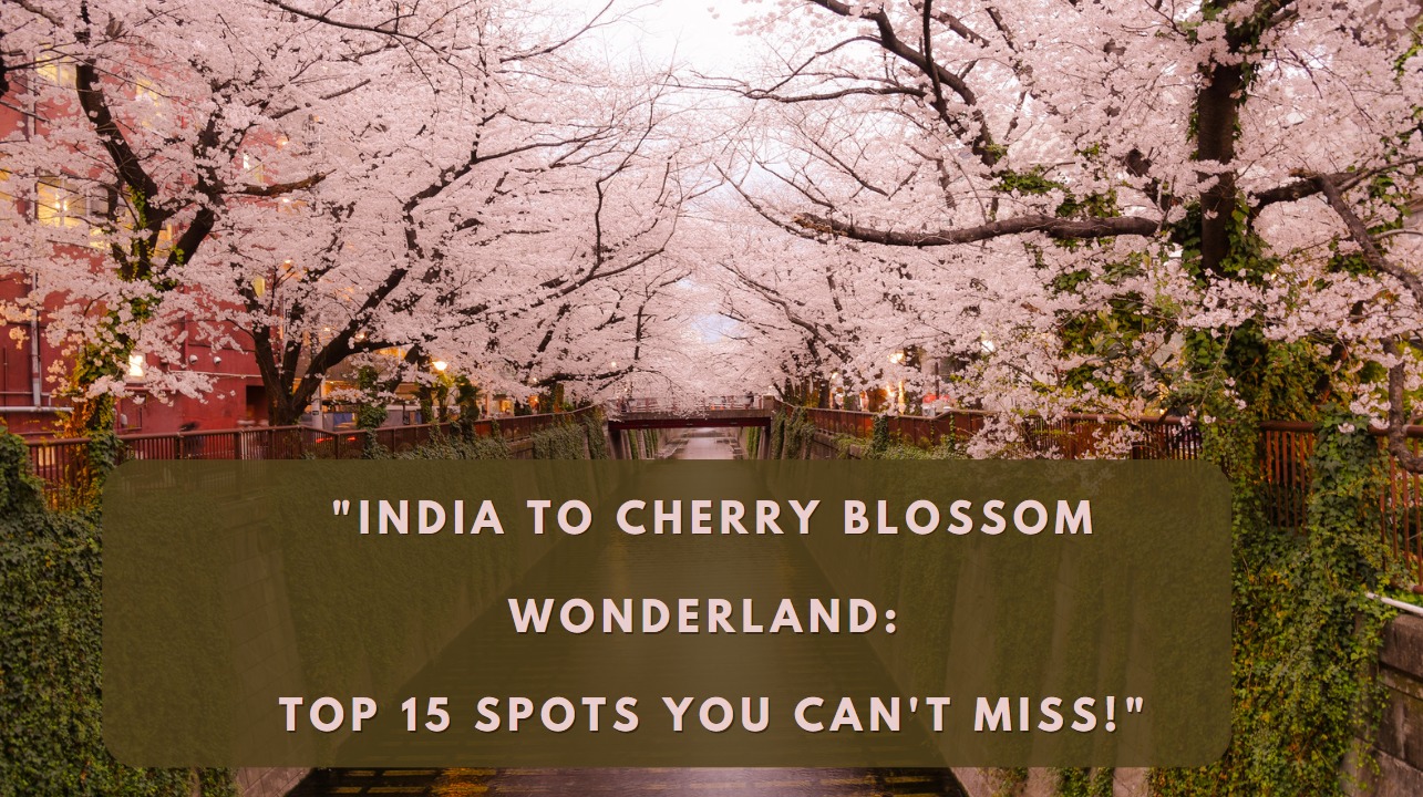 India to Cherry Blossom Wonderland Top 15 Spots You Can't Miss! - Seyon ...